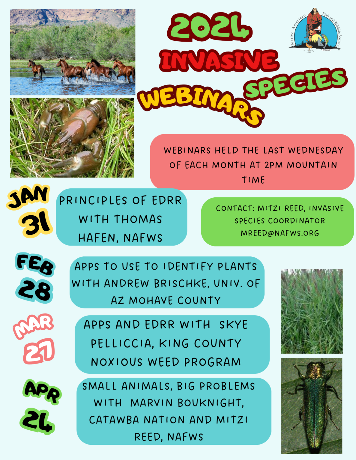 Invasive Species: Apps to Use to Identify Plants - Native American Fish ...