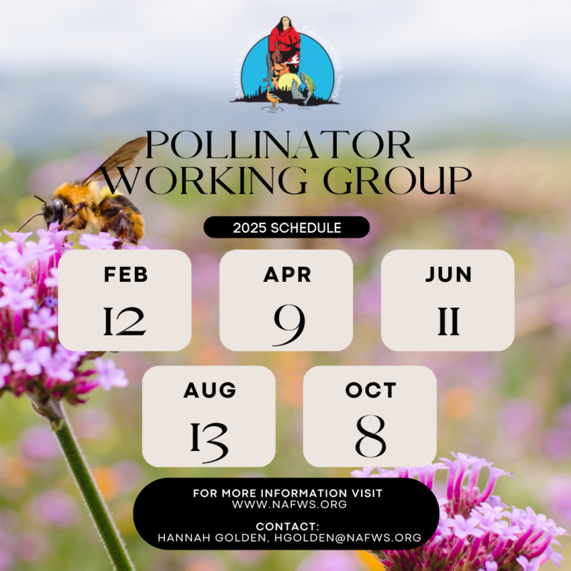 Pollinator Working Group - Native American Fish and Wildlife Society